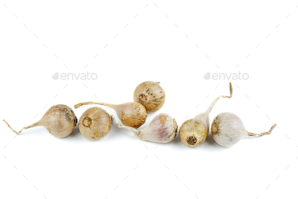 Wild round garlic bulbs isolated on white background Stock Photo by ...