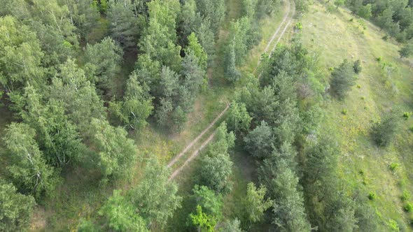 aerial woods drone, Stock Footage | VideoHive