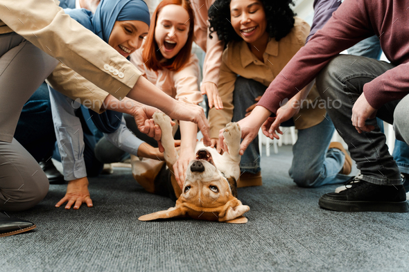 Group of happy multinational people, business team petting dog together ...