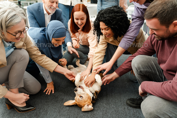 Group of multinational smiling people, business team petting dog ...