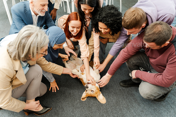 Group of happy multinational people, business team petting dog together ...