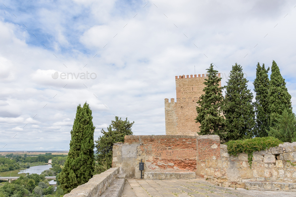 Ancient castle with front stairs, surrounded by trees and a river Stock ...