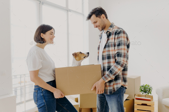 Cheerful couple and their dog with moving boxes, playfully rearranging ...