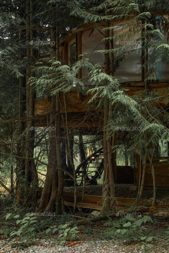 Cabin situated between two trees on a mountain hillside Stock Photo by ...