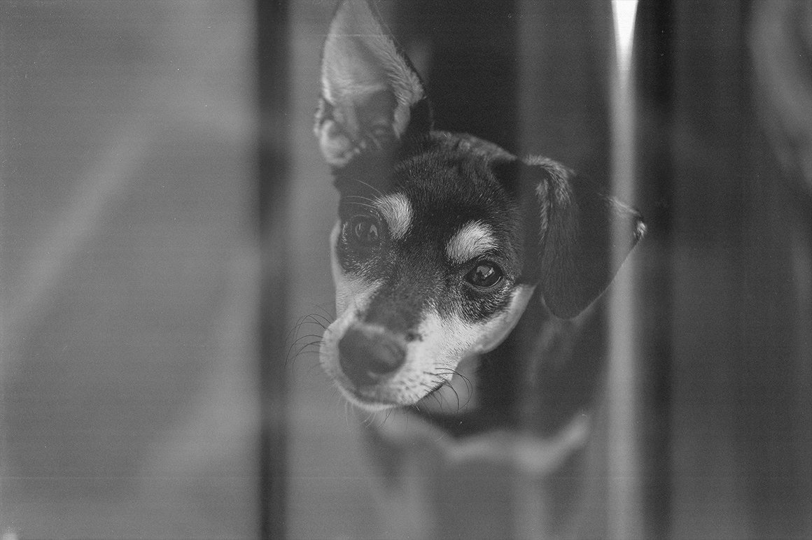 Bad Photocopy Effect Overlays, Add-ons | GraphicRiver