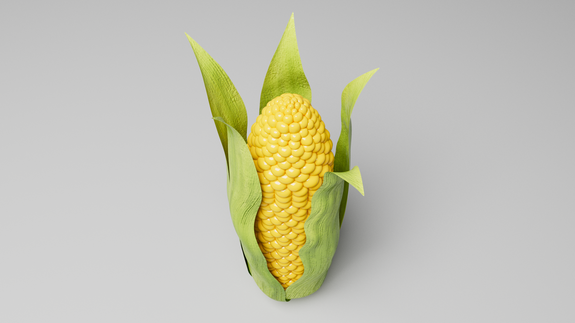 Corncob 3d Model by madi7779 | 3DOcean