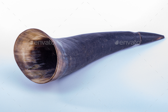 Cow Horns Details Texture Shapes Drinking Kenya Stock Photo by antonytrivet