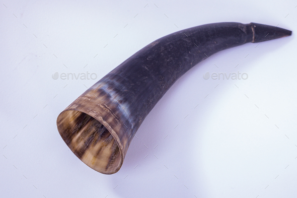 Cow Horns Details Texture Shapes Drinking Kenya Stock Photo by antonytrivet