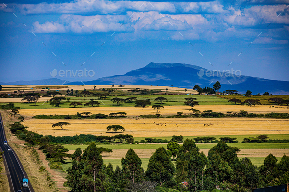 Kenya Highway Road Tarmac Plants Vegetation Great rift Valley East ...