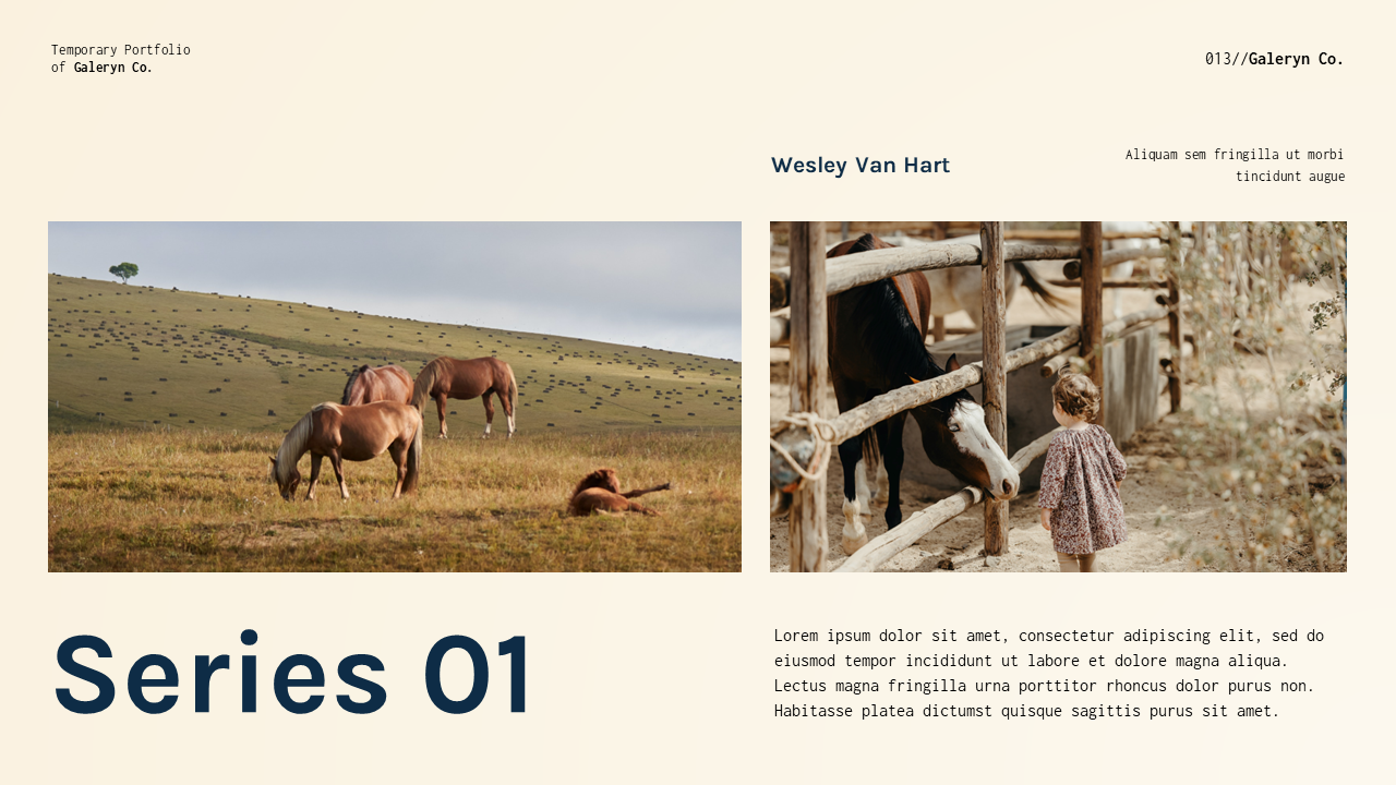 Galeryn - Modern Creative Portfolio Presentation Template, Presentation ...