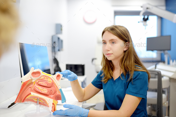 A professional ENT doctor demonstrates a model of human nose. Treatment ...