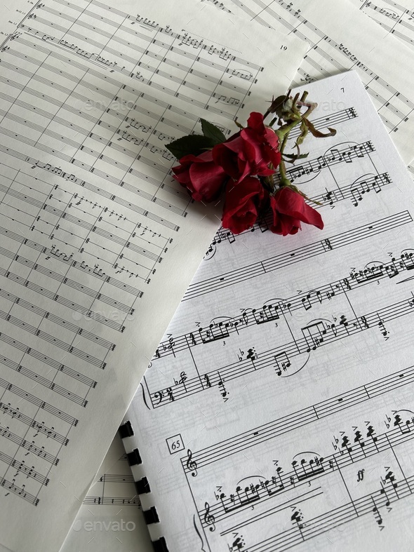 Music sheets with red roses Stock Photo by melpaul199 | PhotoDune