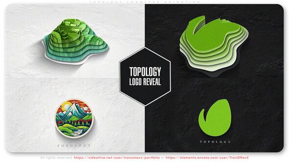 Topology Logotype Animation, After Effects Project Files | VideoHive