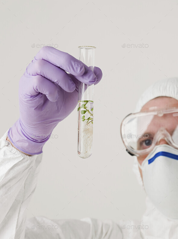 Scientist examining a plant sample in a test tube Stock Photo by Image ...