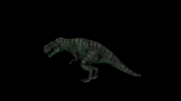 T-rex Idle, Motion Graphics | VideoHive