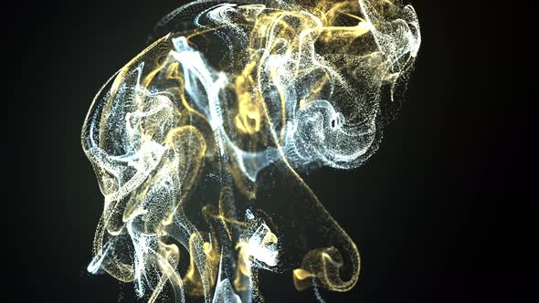 Fluid particle animation, Motion Graphics | VideoHive