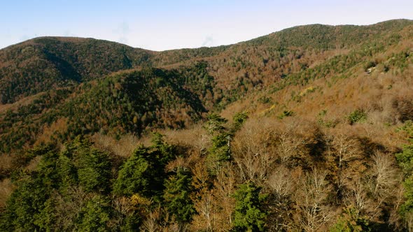 Sila Mountain, Stock Footage | VideoHive