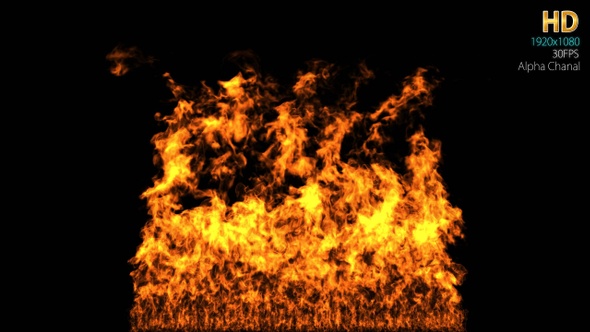 Fire, Motion Graphics | VideoHive