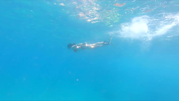 Woman in Flippers Diving Underwater, Stock Footage | VideoHive