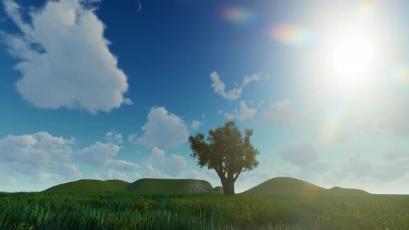 Nature, Motion Graphics | VideoHive