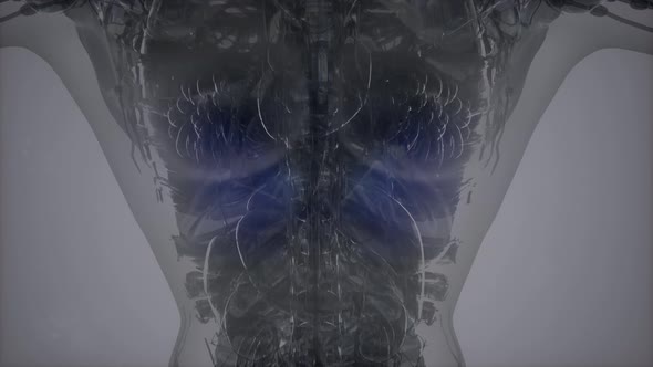 Anatomy Tomography Scan of Human Body, Motion Graphics | VideoHive