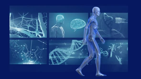 Human model walking man with MRI scan screens , Motion Graphics | VideoHive