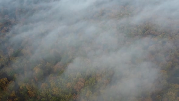 Aerial view high above the forest where the fog flies. Fog clouds fly ...
