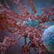 Cancer Cell Growth II Shot 02, Motion Graphics | VideoHive