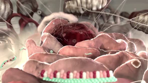 3D Scientific Animation of a Cellular RNA and Nucleus, Motion Graphics