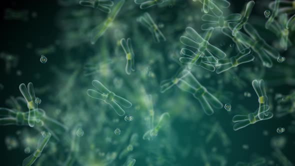 various forms of life in a drop of water. simulation of protozoa by an ...