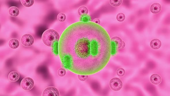 Process infecting cell of pathogenic microorganisms, Motion Graphics