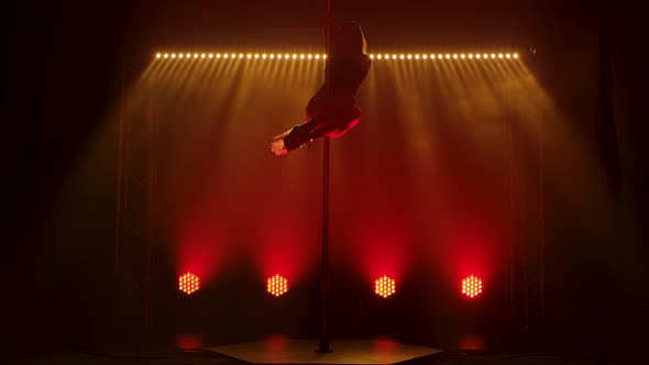 Slim Stripper Performs Tricks on a Pole, Stock Footage | VideoHive