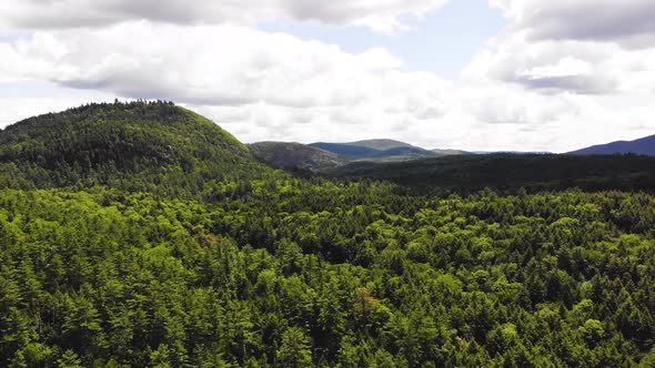 Overhead shot of the treeline in Maine USA, Stock Footage | VideoHive