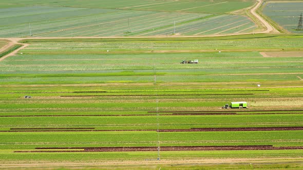 Agricultural Land with Green Crops From Above, Stock Footage | VideoHive