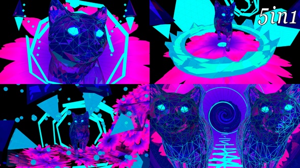 Neo Cat, Motion Graphics | VideoHive