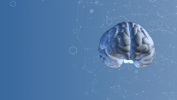 Rotating Brain, Motion Graphics | VideoHive