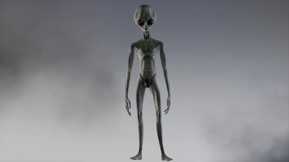 Scary Gray Alien Stands and Looks Blinking on a Dark Smoky Background ...