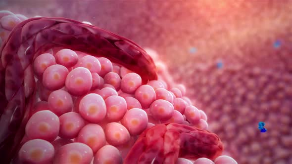 3D Animated Activated Cancer Cells, Growing Tumors, Motion Graphics