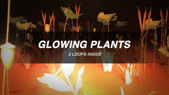 Glowing Plants, Motion Graphics | VideoHive