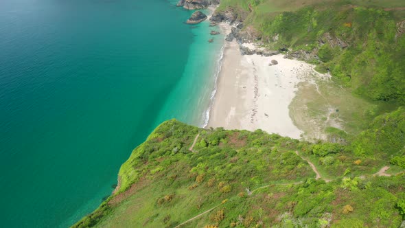 Aerial view of Lantic Bay, Fowey with people on the beach enjoying the ...