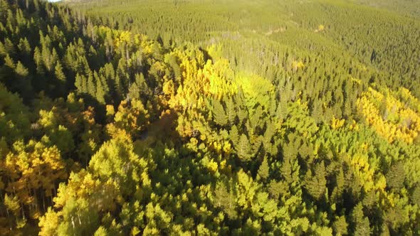 Fall colors on Boreas Pass, Colorado, Stock Footage | VideoHive