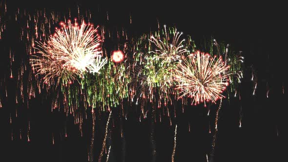 Firework, Motion Graphics | VideoHive