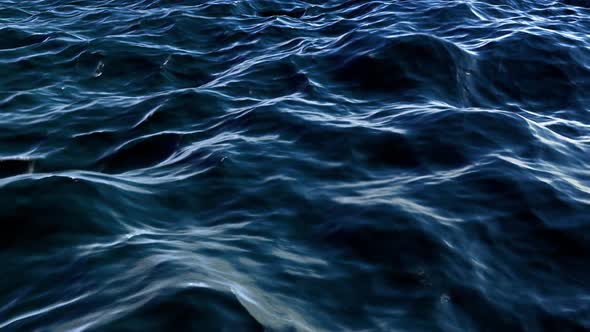 Ocean , Motion Graphics | VideoHive