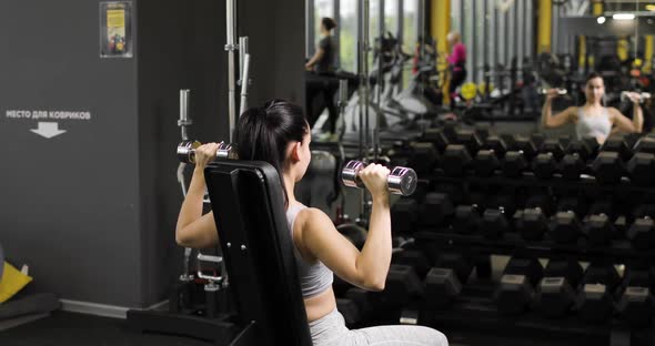 Young Brunette Woman Doing Overhead Presses with Dumbbells Sitting on a ...