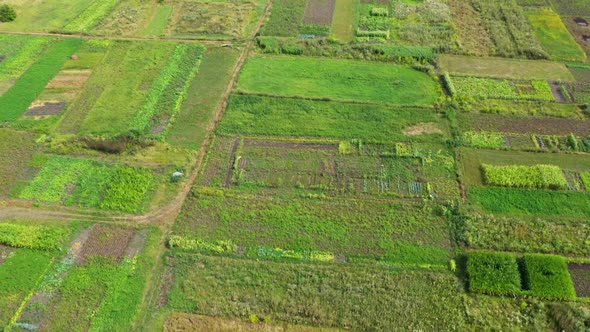 Aerial View Planted Gardens In Nature, Stock Footage | VideoHive
