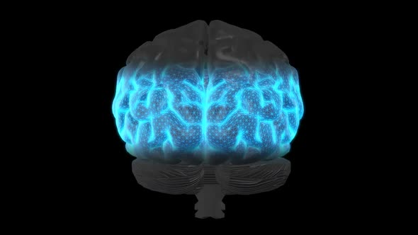 Brain Laser Scan Hd, Motion Graphics | VideoHive