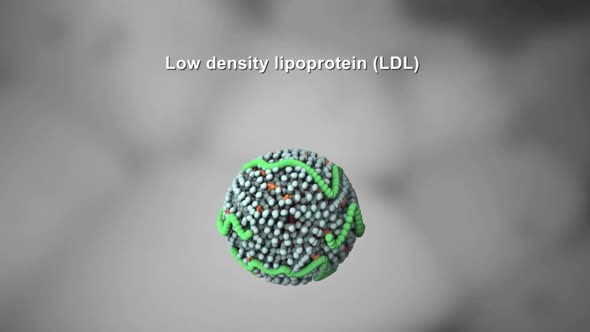 Very-low-density lipoprotein (VLDL) cholesterol, Motion Graphics ...