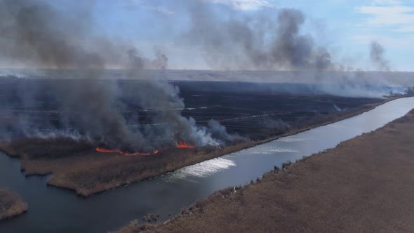 Nature Calamity, Large Flames Fast Moving By Dry Meadow with Black ...