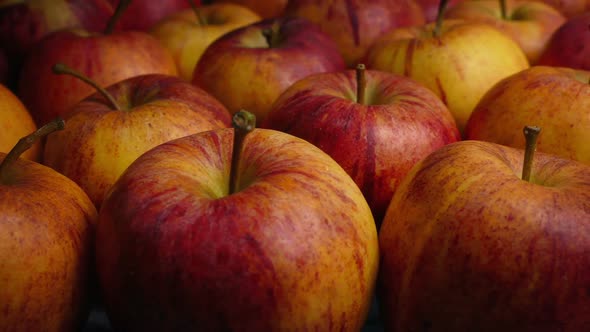 Colorful Apples Moving Shot, Stock Footage | VideoHive