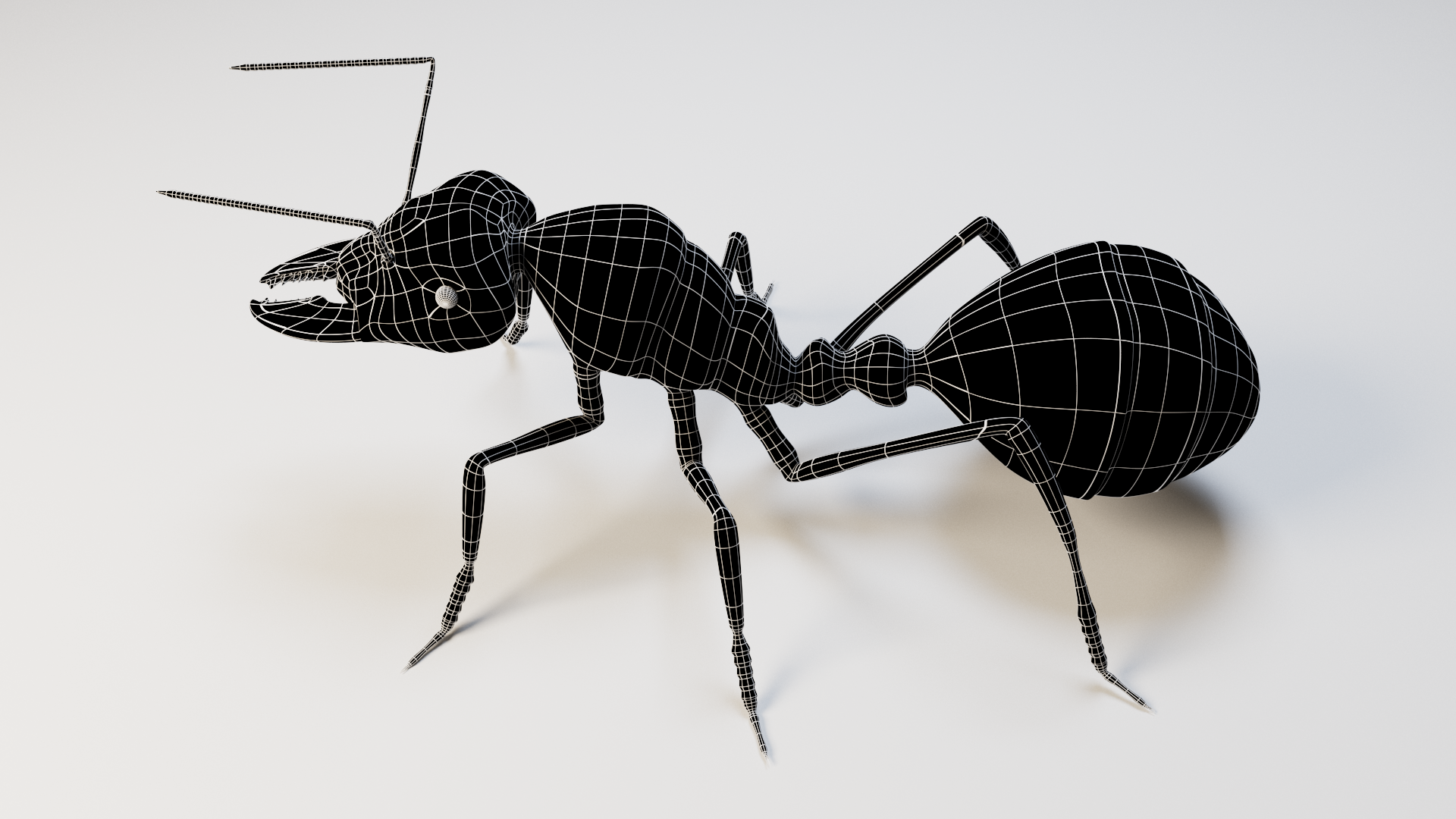 Ant 3d Model by madi7779 | 3DOcean